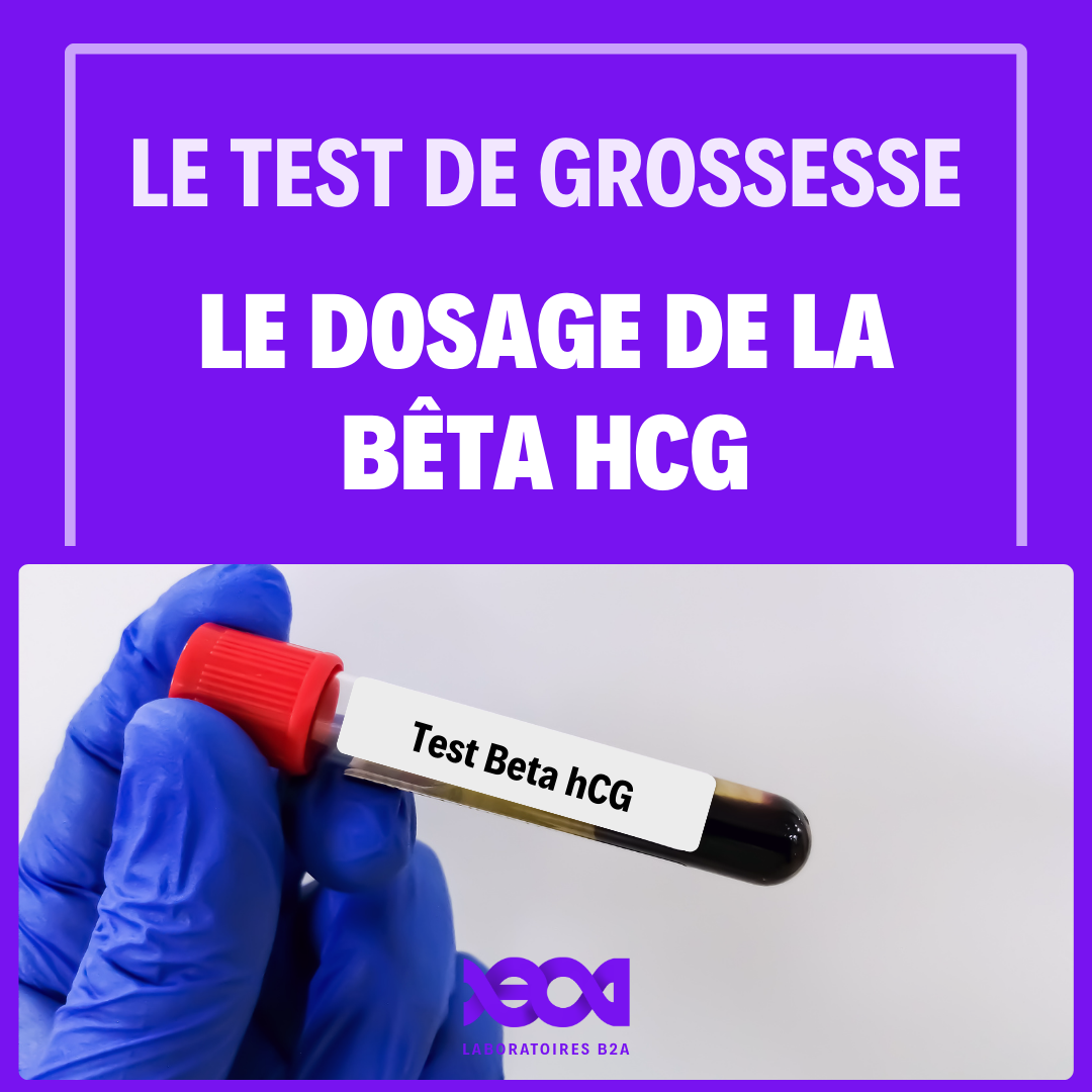 TEST DE GROSSESSE – LE DOSAGE DE LA BÊTA HCG - B2A