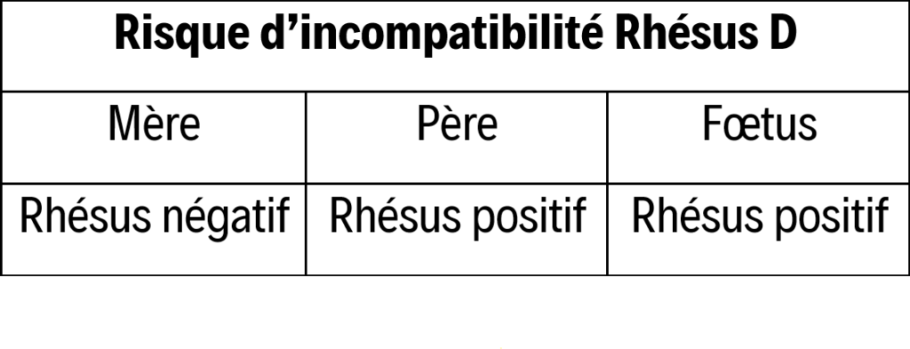 Groupe sanguin et grossesse : l'incompatibilité rhésus D - B2A