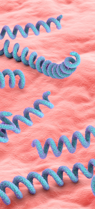 Qu'est-ce que la syphilis ? - Laboratoires B2A