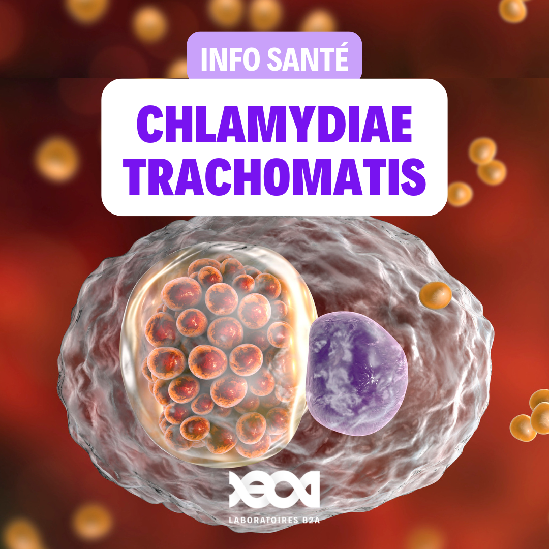 CHLAMYDIAE TRACHOMATIS : C’EST QUOI ? - B2A