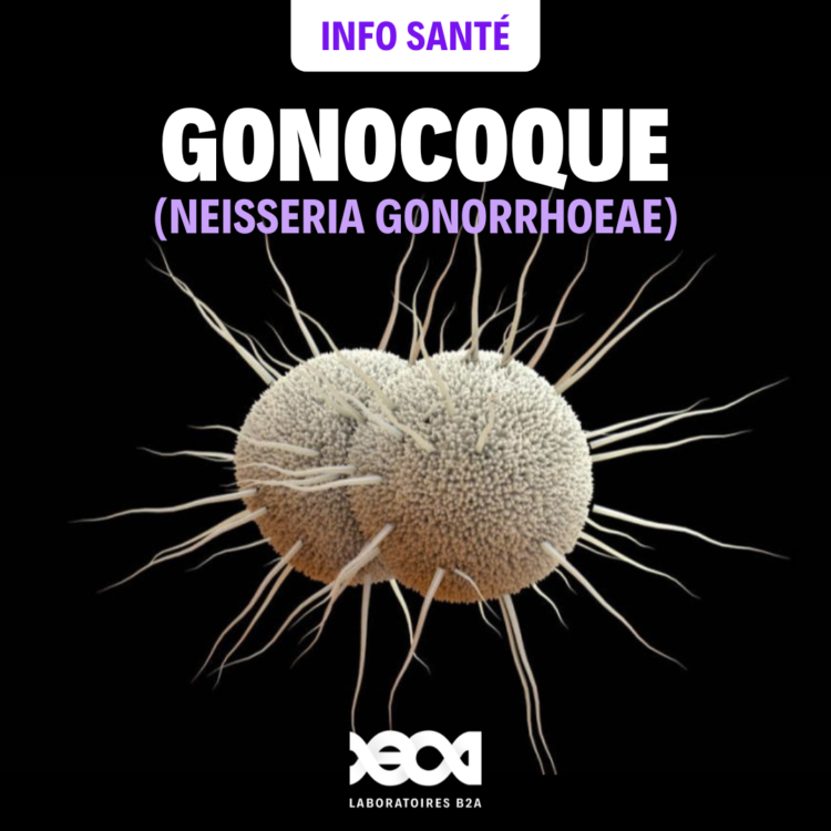 Laboratoires de Biologie Médicale B2A