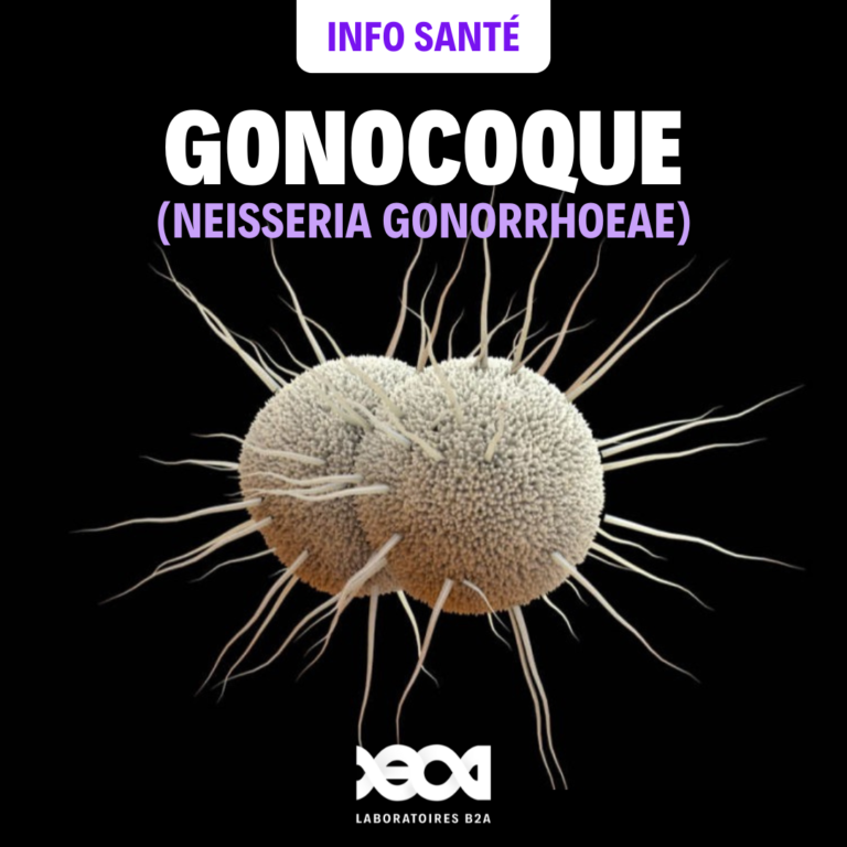 Laboratoires de Biologie Médicale B2A